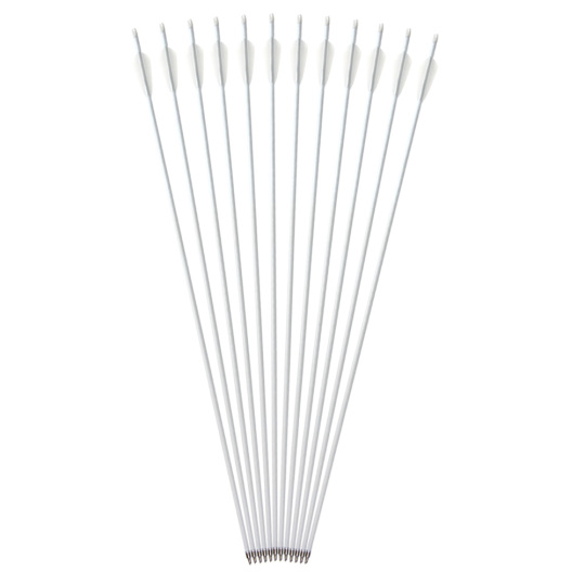 30" carbon fiber arrows Spine 500 Compound Bow Arrows(12 Pack)