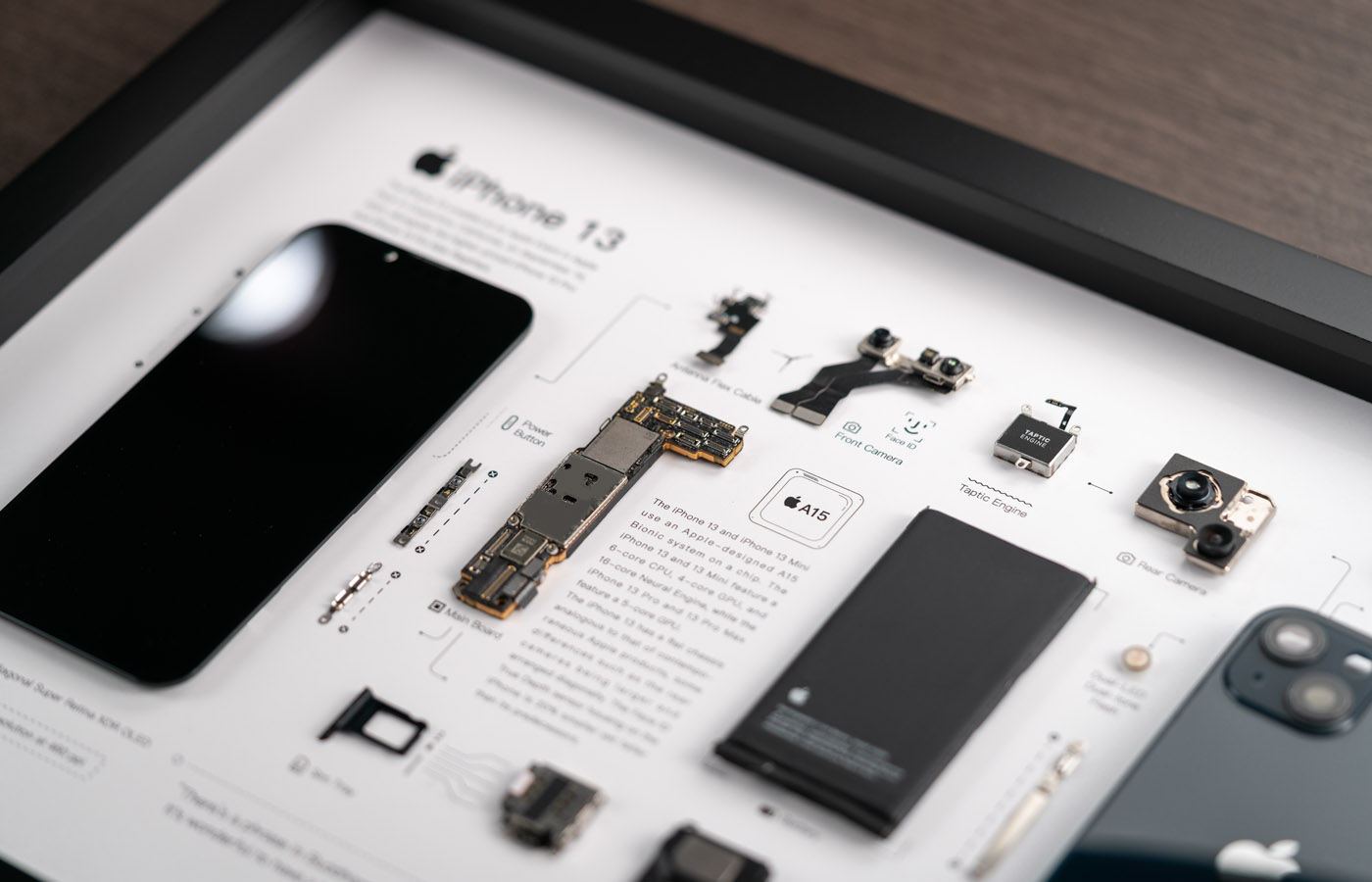 GRID® 13-Grid Studio