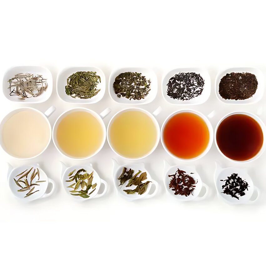Indian Tea Varieties-TeaTsy Official Website