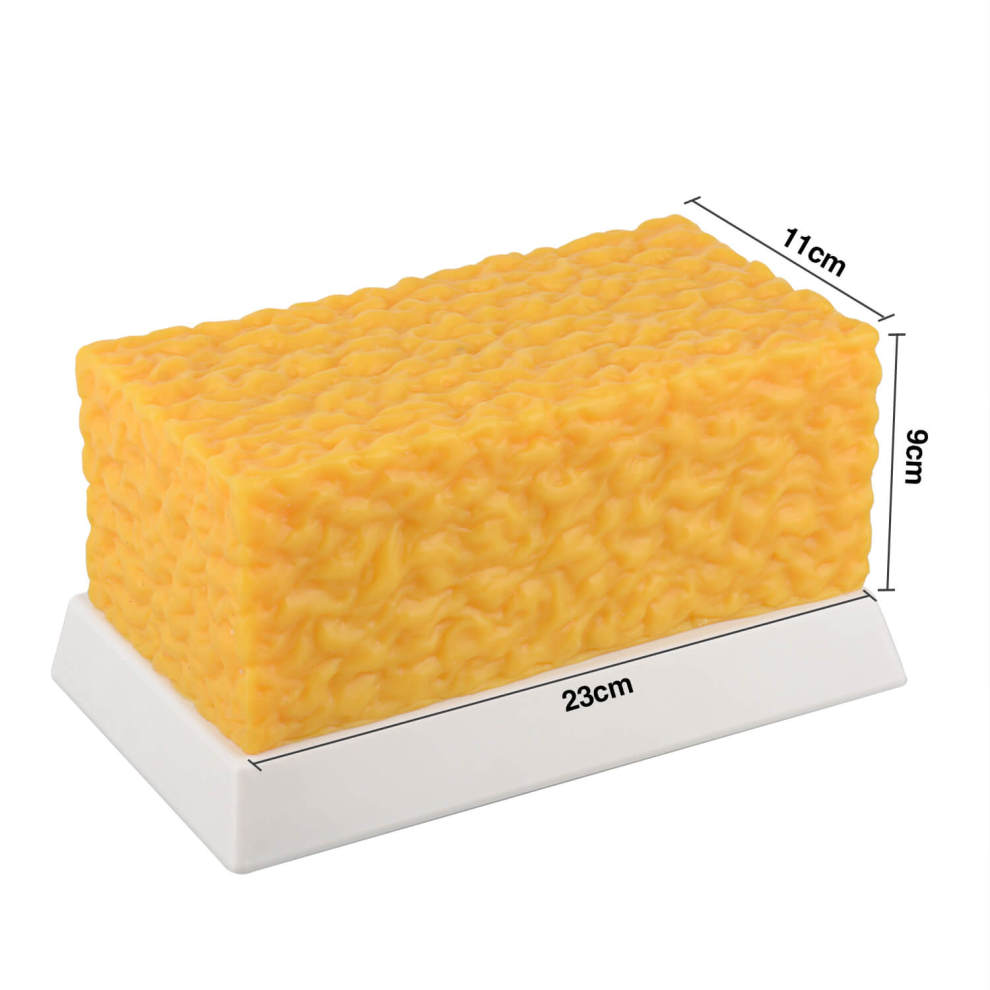 Ultrassist 5 lbs Body Fat Replica Visual Reminder and Motivation
