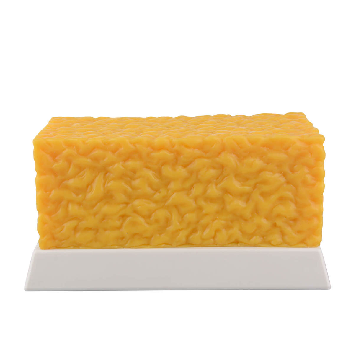 5 lbs Body Fat Replica Visual Reminder and Motivation – Ultrassist