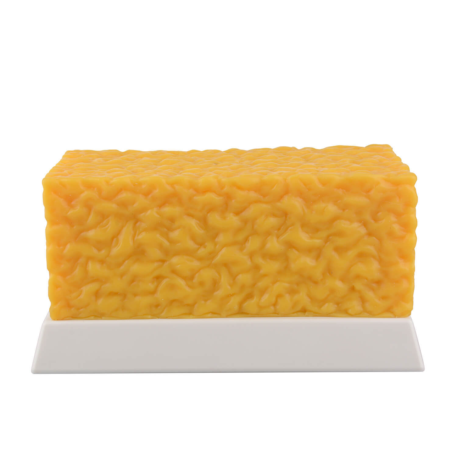 Ultrassist 5 lbs Body Fat Replica Visual Reminder and Motivation