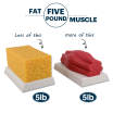 5 lbs Body Fat Replica Visual Reminder and Motivation – Ultrassist