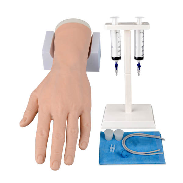 IV Practice Hand Kit for Nursing Students, Light Skin – Ultrassist