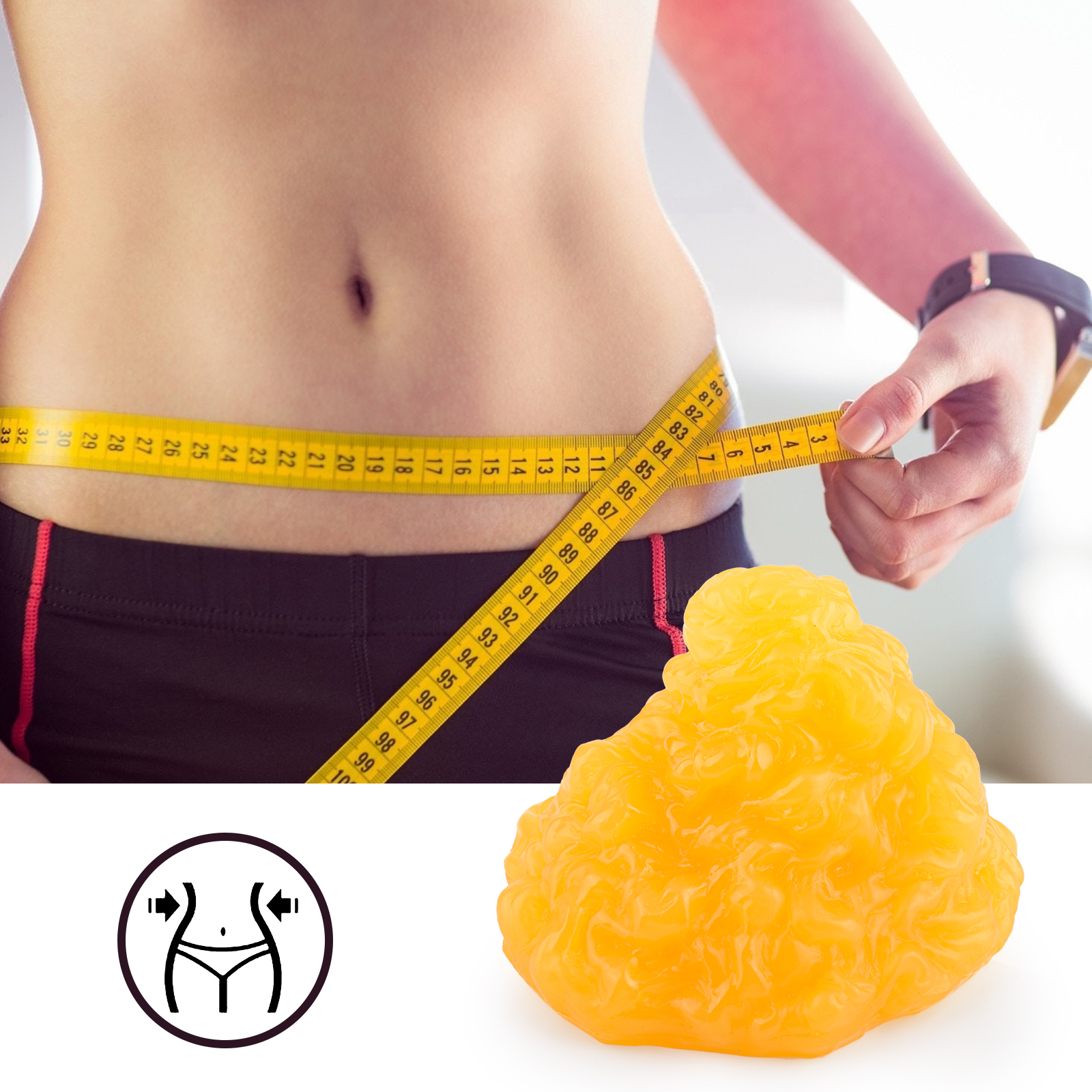5 Pound Of 1 Lb Fat & Muscle Replica Set With Display Base - Visual ...