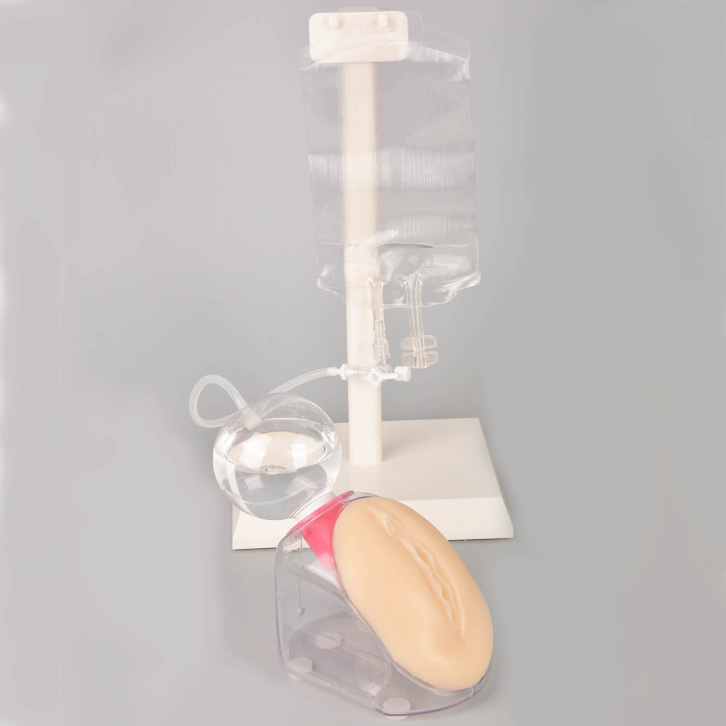 Female Urinary Catheterization Simulator Kit for Nursing Practice ...