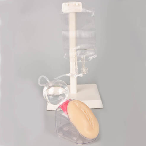 Female Urinary Catheterization Simulator Kit for Nursing Practice ...