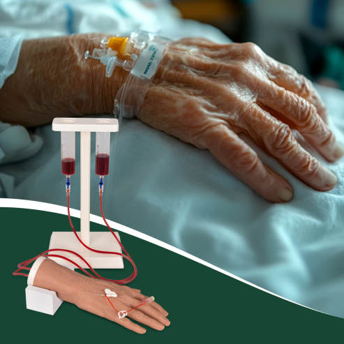 Geriatric IV Training Hand Kit for Vein Insertion Exercises – Ultrassist