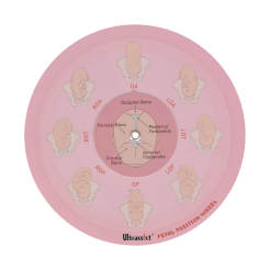 Midwife Fetal Position Tool - Cephalic & Breech – Ultrassist