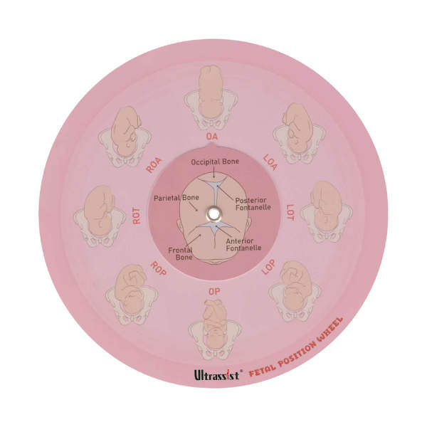 Midwife Fetal Position Tool - Cephalic & Breech – Ultrassist