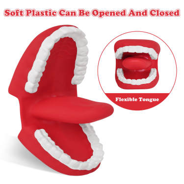 Mouth Models & Puppets for Speech Therapy – Ultrassist