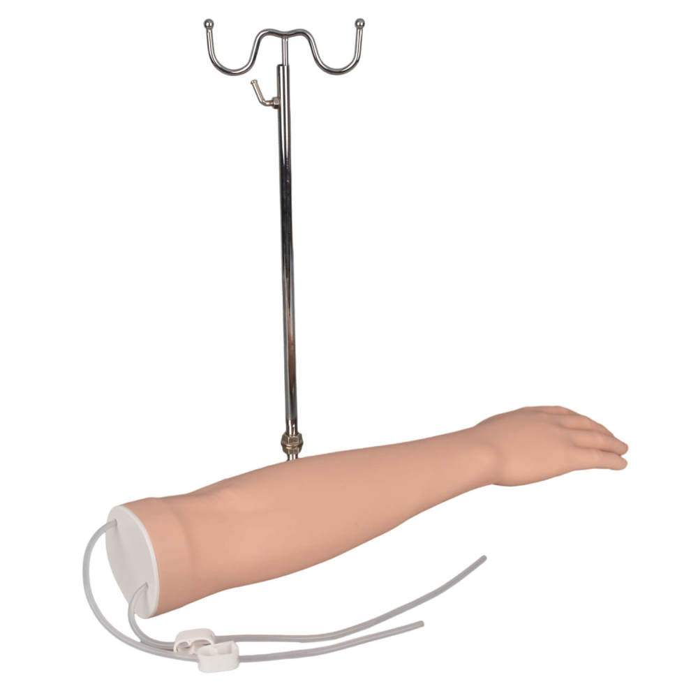 Adult Complete Phlebotomy Practice Arm Kit, Metal Stand – Ultrassist