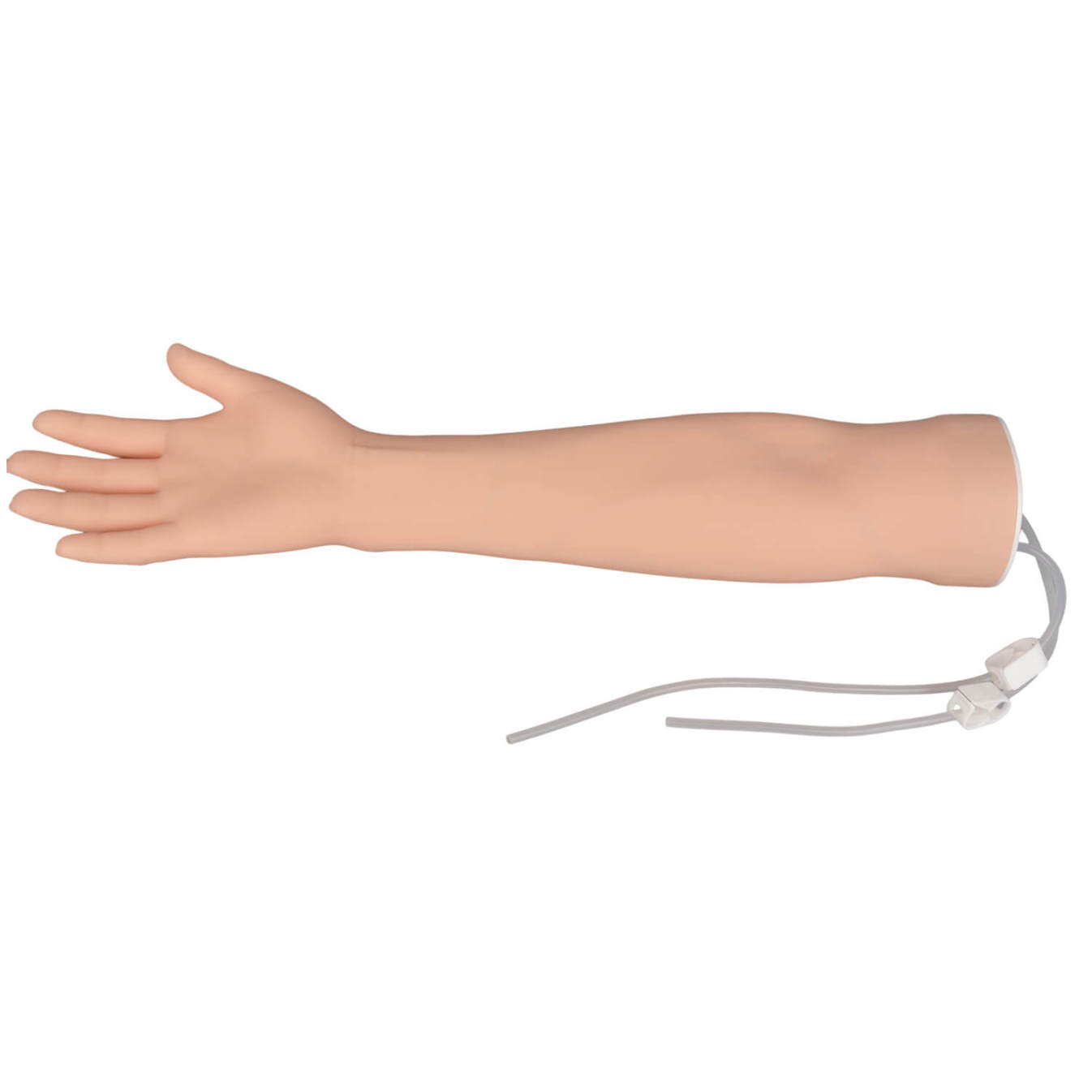 Adult Complete Phlebotomy Practice Arm Kit, Metal Stand – Ultrassist
