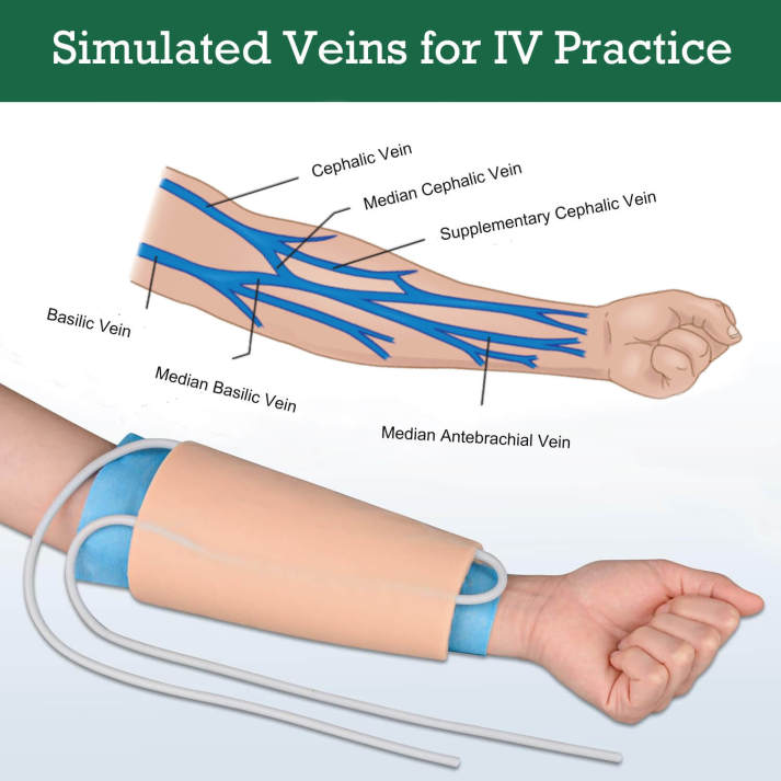 Slip-on Forearm Phlebotomy & Venipuncture Practice Pad – Ultrassist