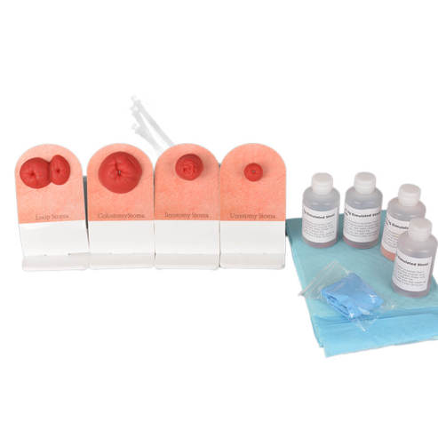 Ostomy Care Training Kit with 4 Stoma Models on Stands – Ultrassist