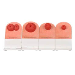 Tabletop Ostomy Care Training Kit with Display Stand – Ultrassist