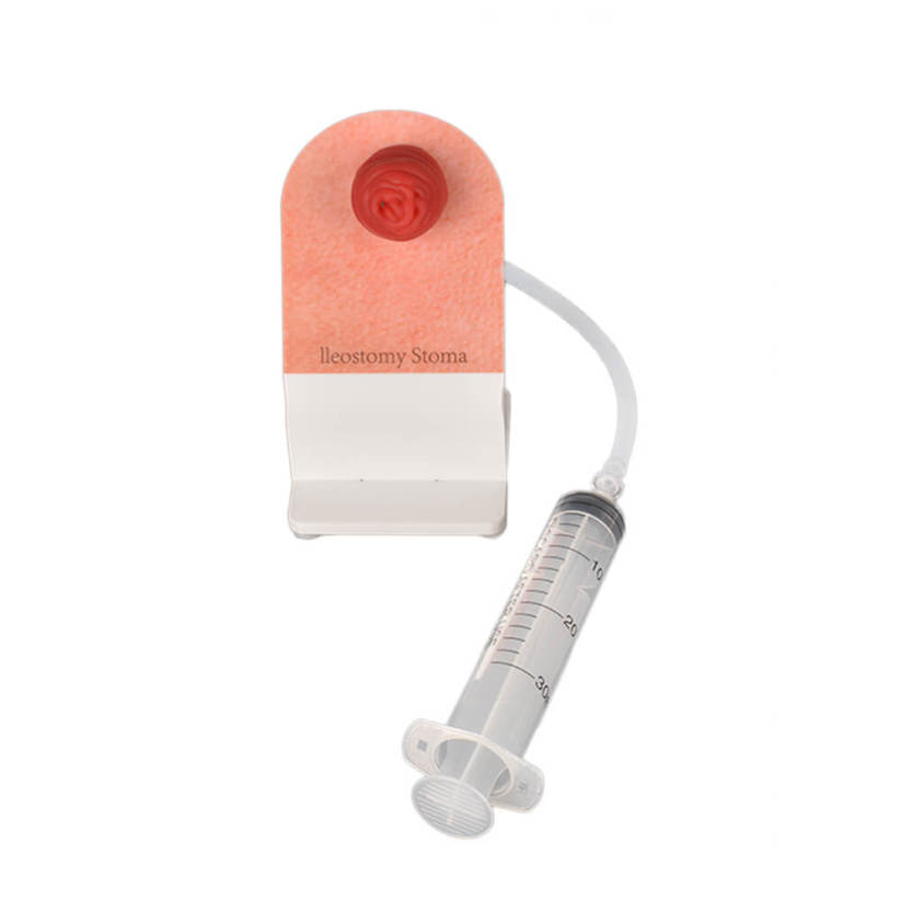 Ostomy Care Training Kit with 4 Stoma Models on Stands – Ultrassist