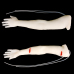 Translucent Hemorrhage Control Arm Trainer with Lacerations – Ultrassist