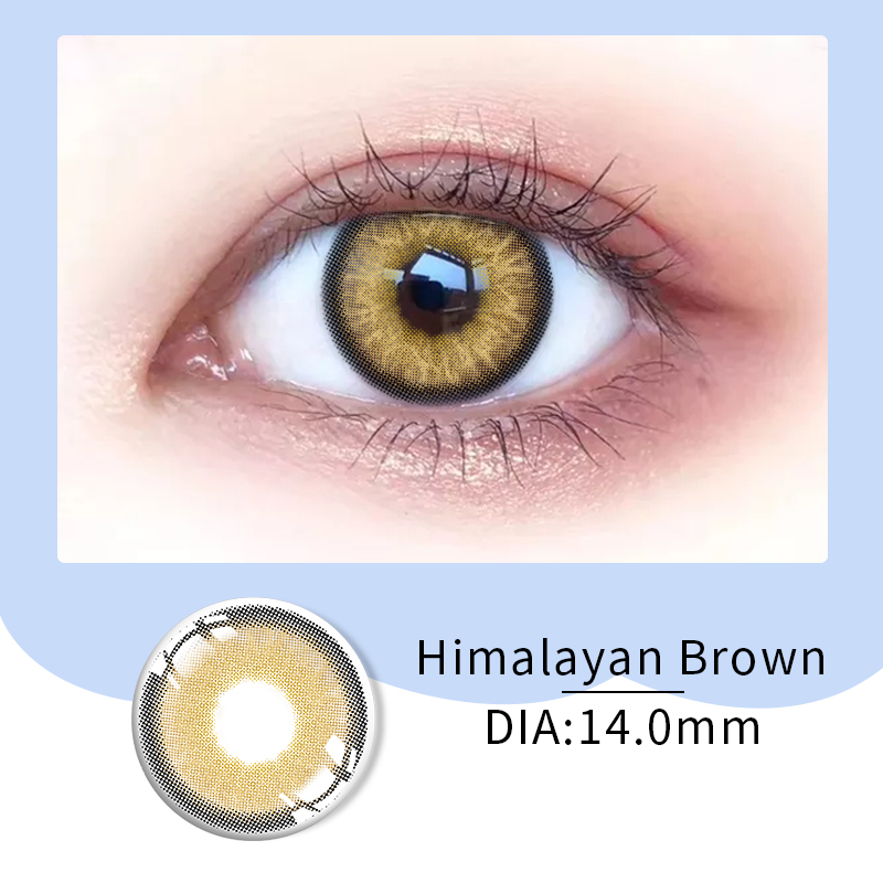 Himalayan Brown Yearly Contact Lenses