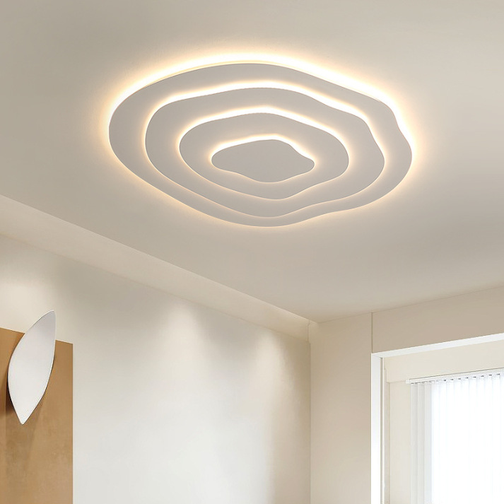 Minimalist Irregular Round Ceiling Lamp Special Shaped LED Lamp ...