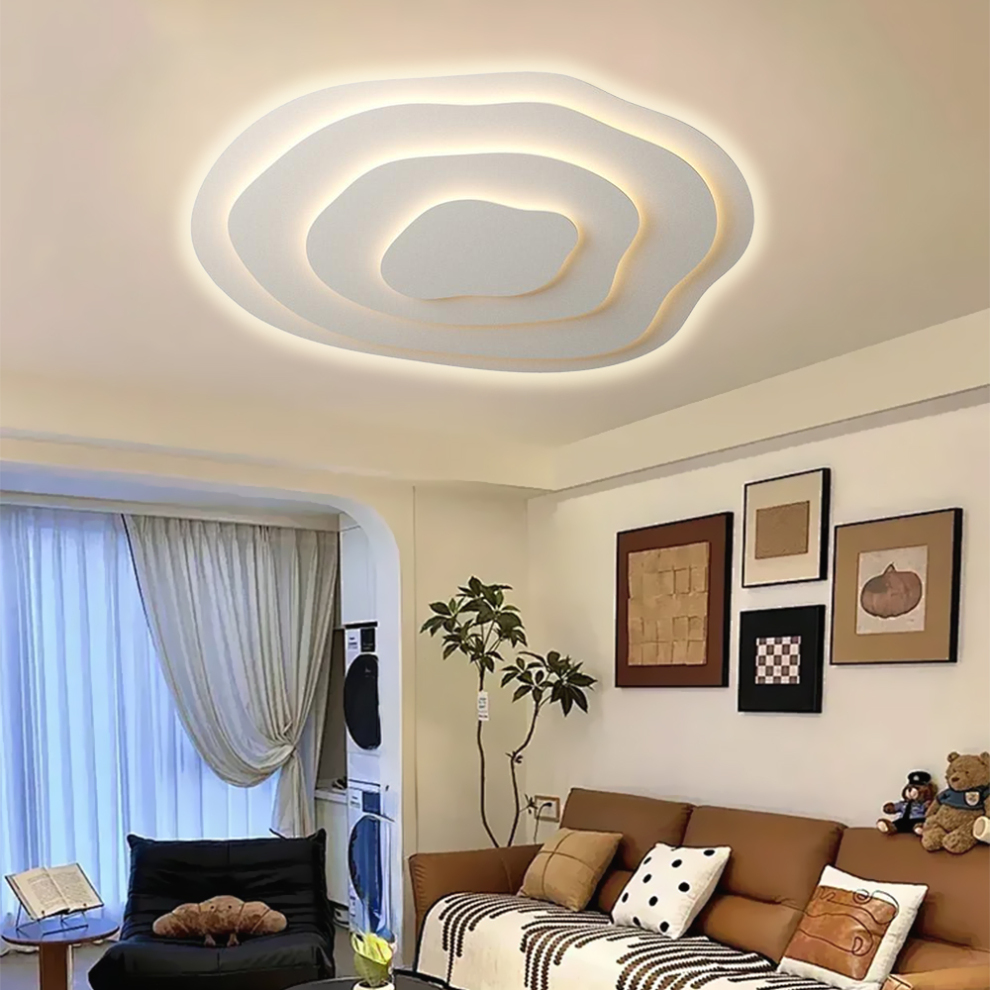 Minimalist Modern Style Irregular Round LED Ceiling Light – LabPieceSign