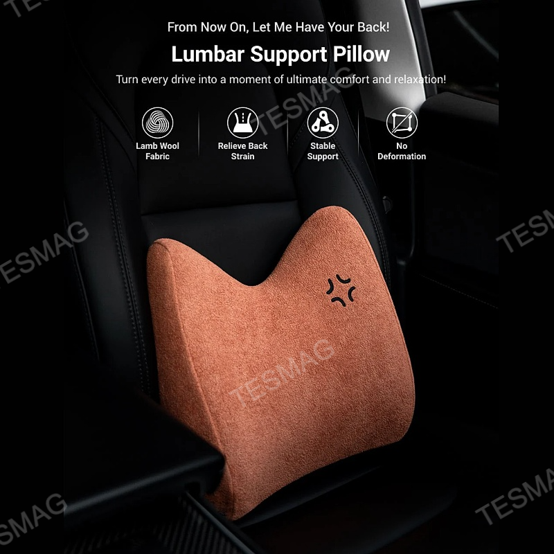 TITA Memory Foam Car Lumbar Support Cushion for Long Drives – TESMAG