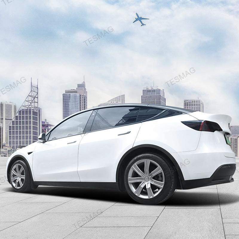 Tesla Model Y 19-inch Interstellar Style Hubcap – TESMAG