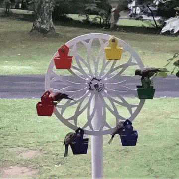 🎡Wheel Bird Feeder - The Ferris Wheel of Fun for Your Feathered Frien