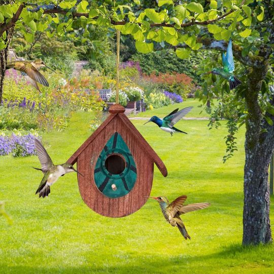 BIRD SUPPLIES – SHEREM