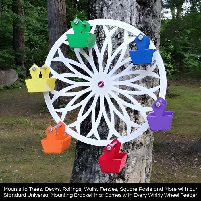 🎡Wheel Bird Feeder - The Ferris Wheel of Fun for Your Feathered Frien