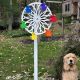 🎡Wheel Bird Feeder - The Ferris Wheel of Fun for Your Feathered Frien