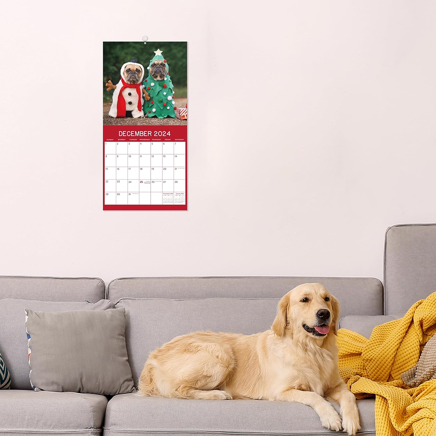 2024 Fun Dogs Wall Calendar – echodecor