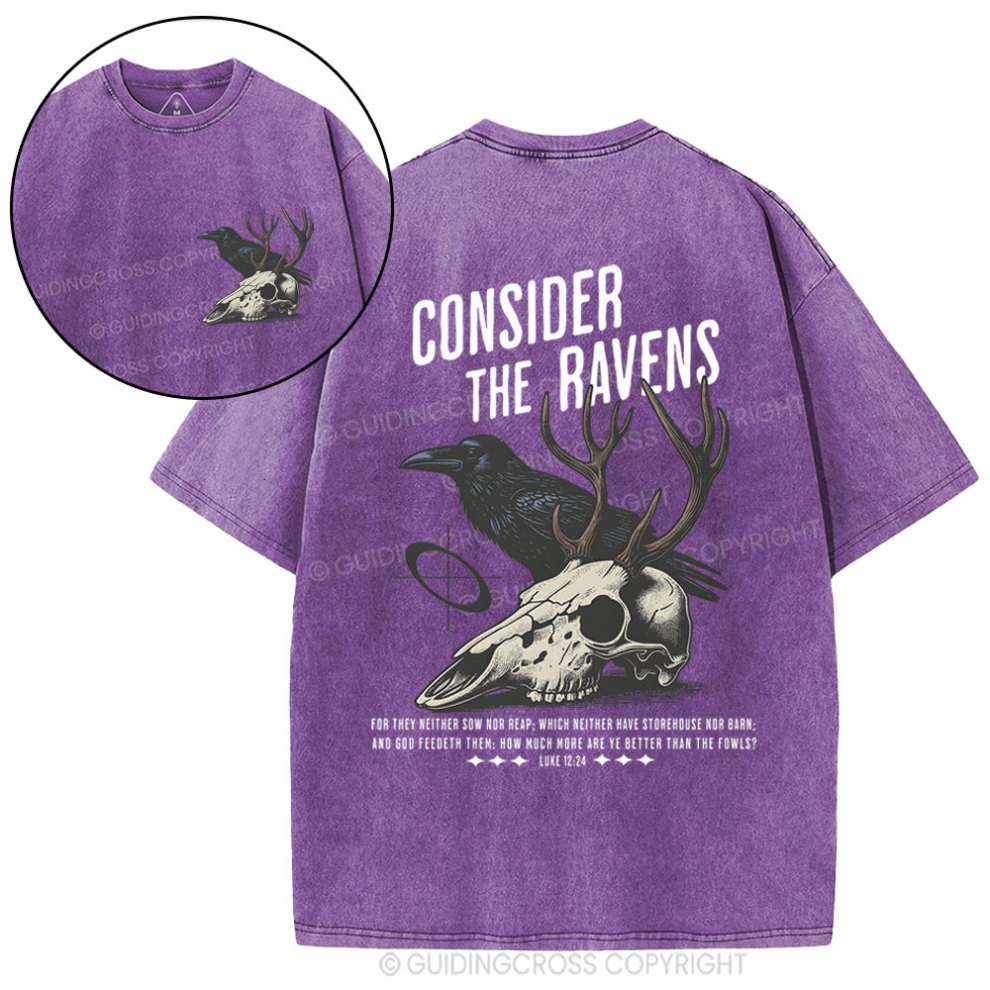 Consider The Ravens Chirstian Washed T-Shirt Sale - GuidingCross