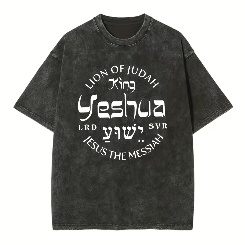 Lion Of Judah Christian Washed T Shirt Sale Guidingcross