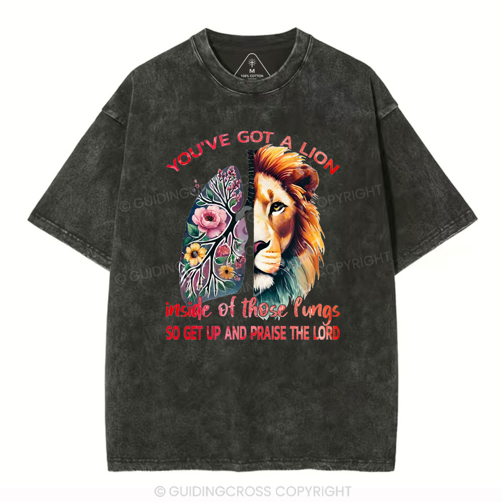 Youve Got A Lion Christian Washed T Shirt Sale Guidingcross