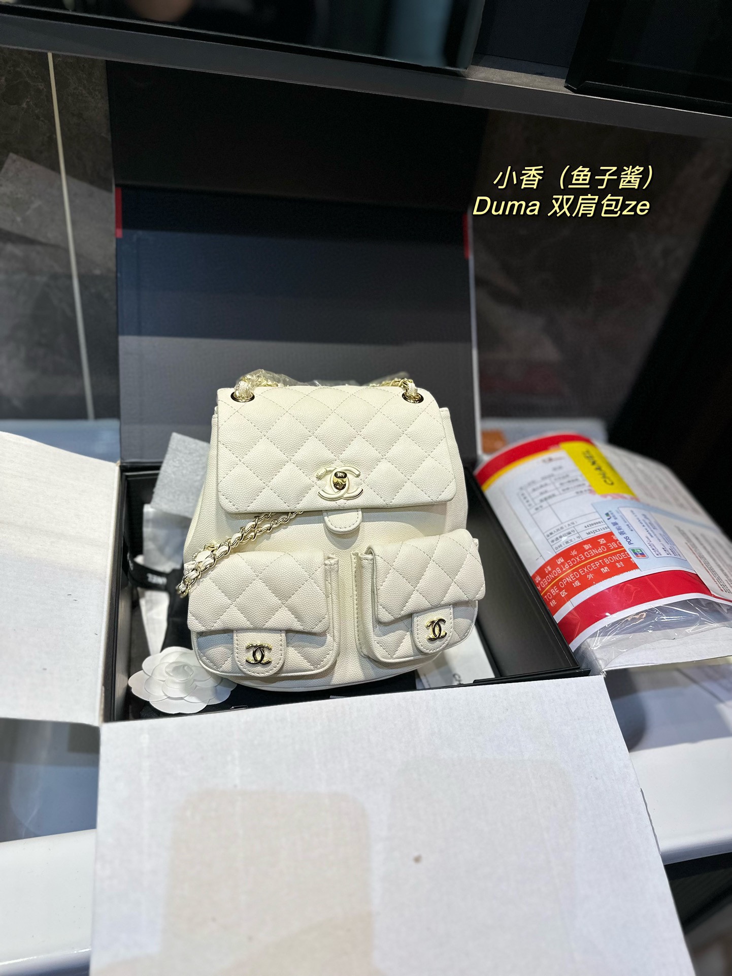 CHANEL MINI backpack