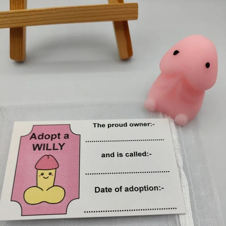 🙈Cheeky Stress Relief: Willy Adoption for Fun Hen Party Favors💥