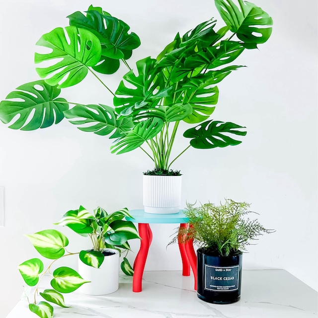 🍀Saddle Up Plant Stand