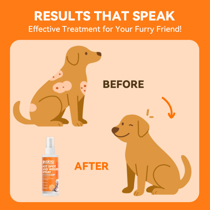 Puainta® Quantum Skin Spray for Dogs/ Cats, Upgraded Pipot Mange Relief