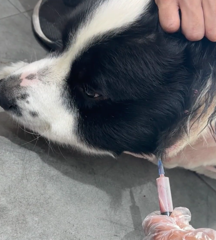 How to Drain a Cyst Safely
