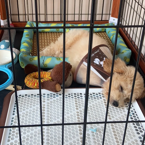 How to Drain a Cyst Safely