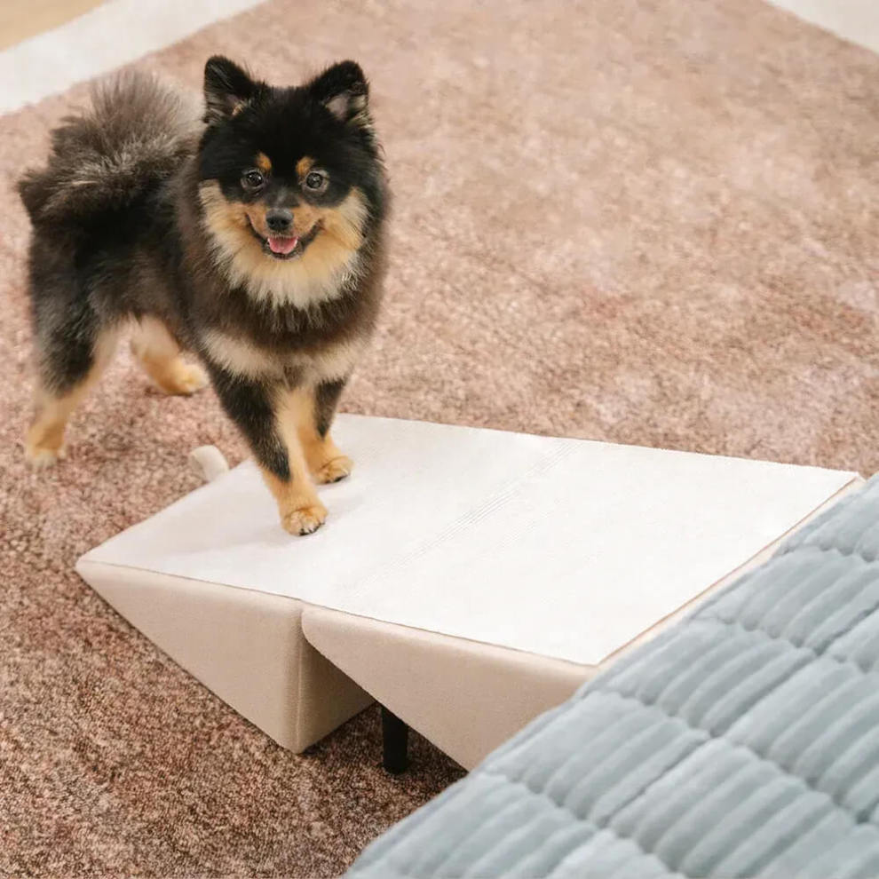 2-in-1 Convertible Wooden Home Step Stool Dog Ramp Steps – FunnyFuzzy