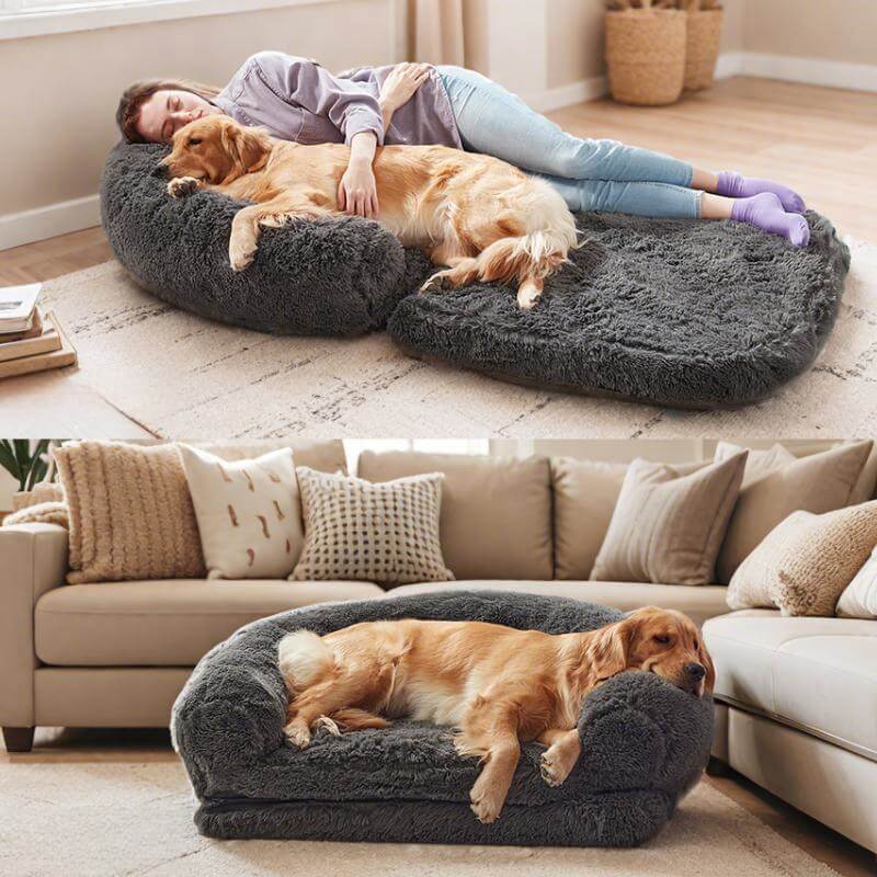 Human Dog Bed UK | Giant Pet Beds for Adults & Dogs | FunnyFuzzy