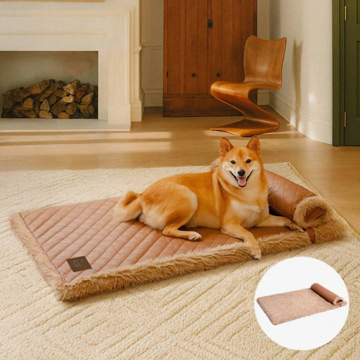Indestructible Dog Bed | Chew Proof & Tough Dog Beds – FunnyFuzzy