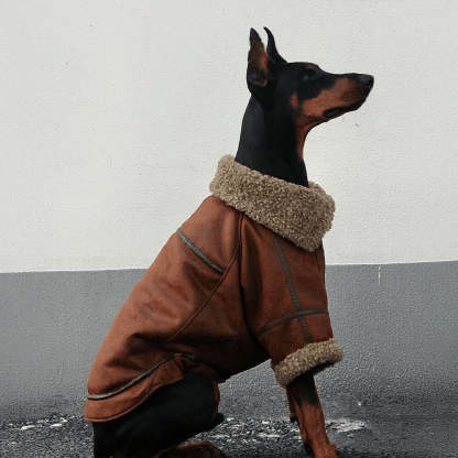 Leather dog jacket store