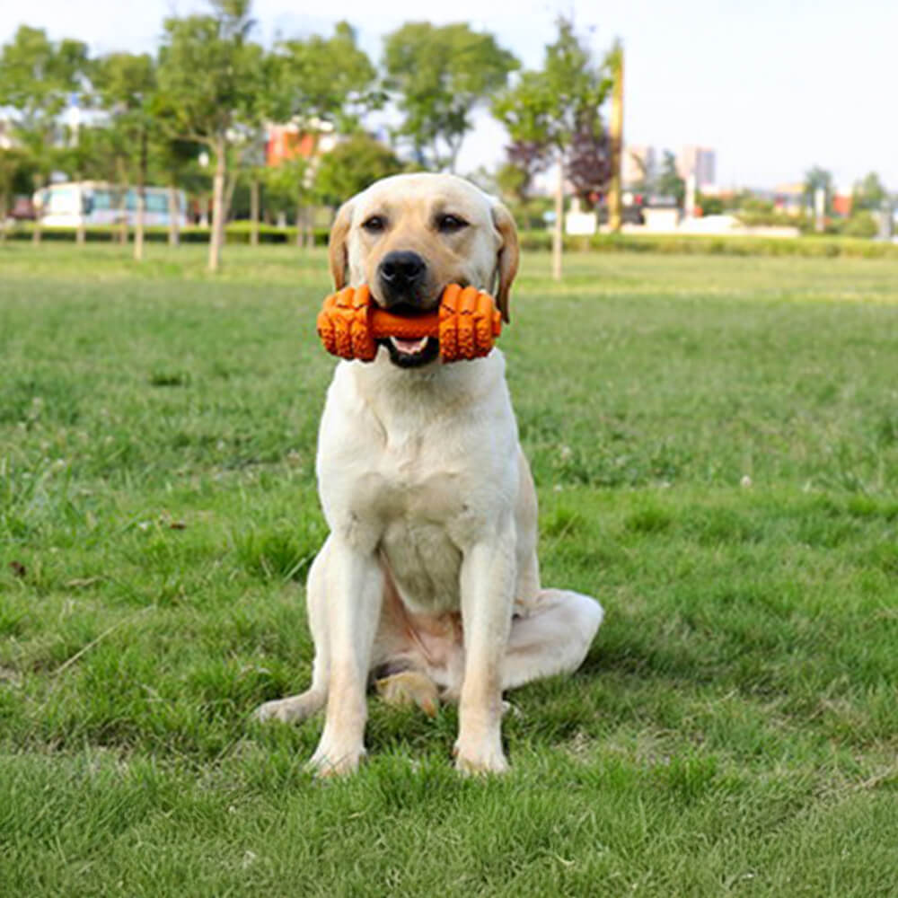 Silicone dog toys store