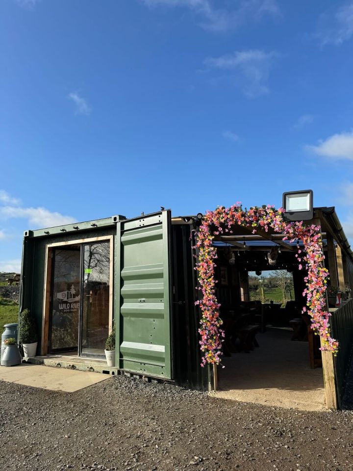 Exclusive Collab with WildRiver Dog Park – FunnyFuzzy