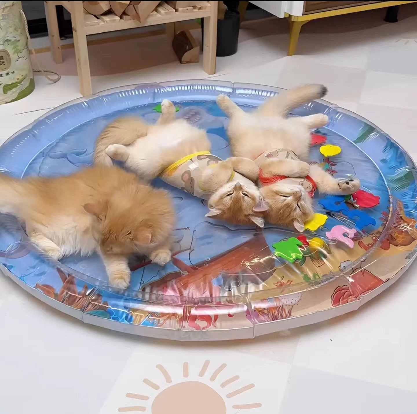 🔥Upgraded Thickness Fun Pet Cooling Water Bed