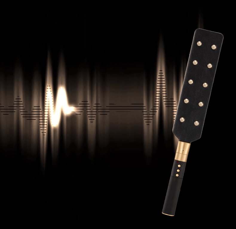 Electric Training Paddle