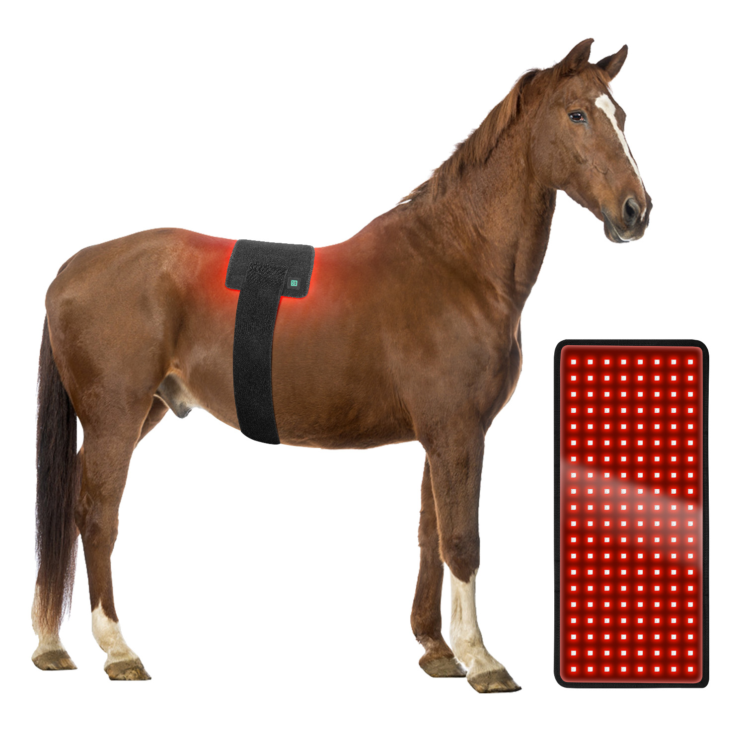 red light therapy-ClinicPBM